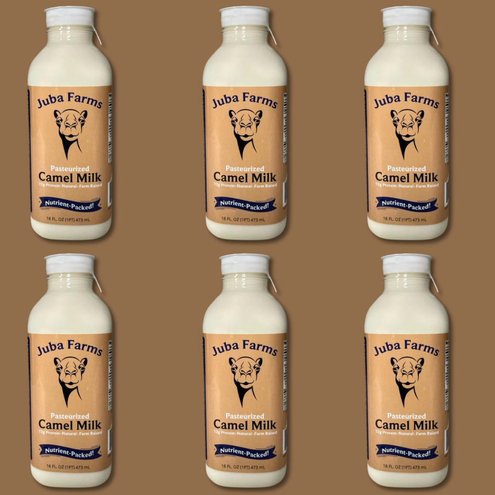 Fresh Camel Milk (16oz) | 100% Natural | Lightly Pasteurized – Juba Farms